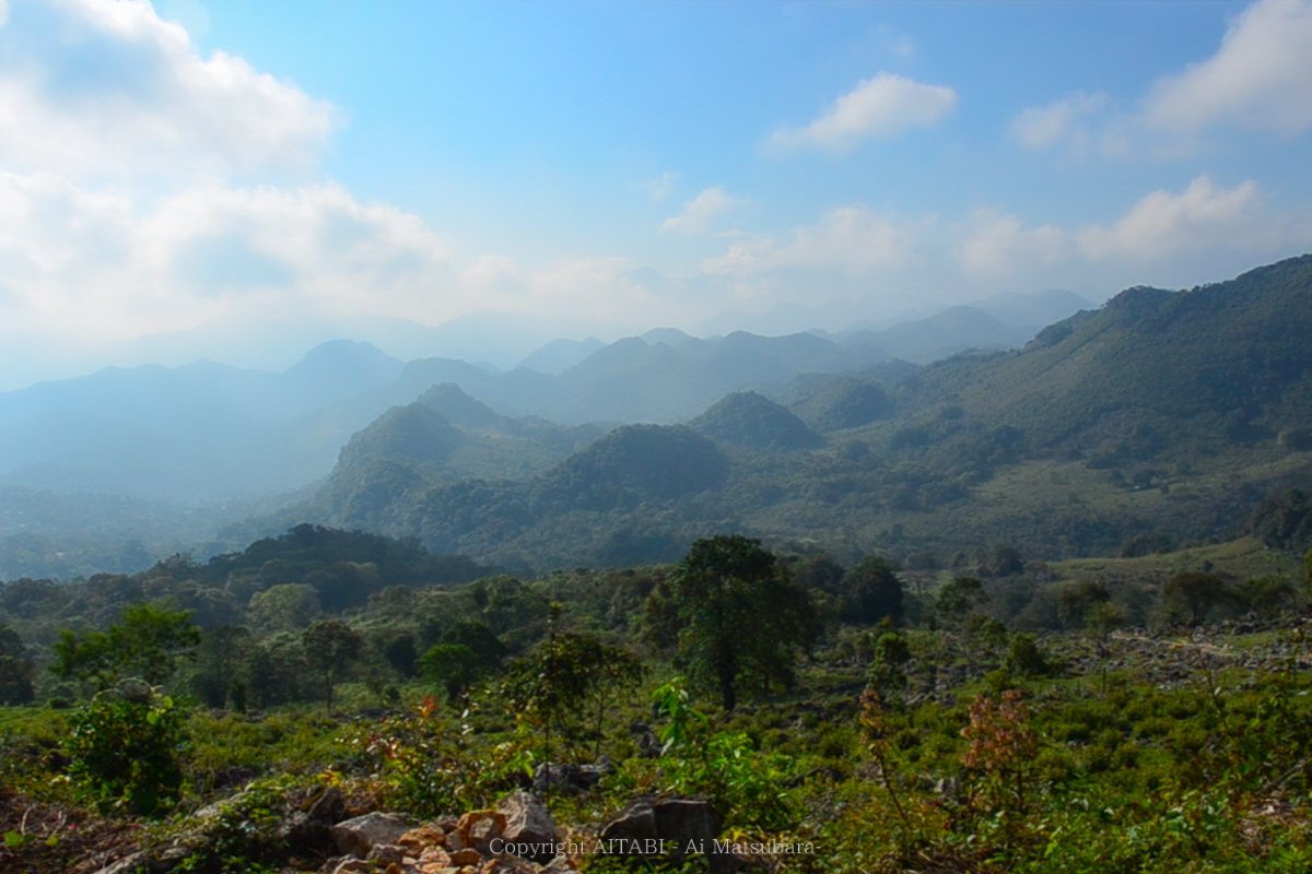野生的な「ジョシュ」の忘れ物 | I'M LOVE! 【あいむらぶ！】